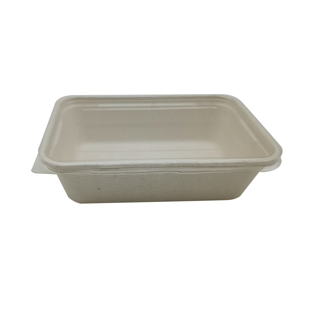 GRACZ SIMPLE B001 กล่องอาหาร ขนาด 7 นิ้ว 600 มล. - Schemer Plus Co., Ltd.